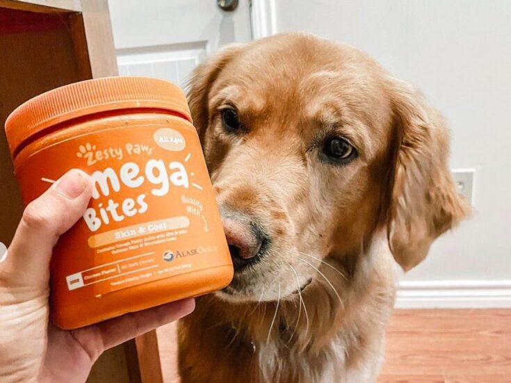 H&H Group continues pet-food push with Zesty Paws deal