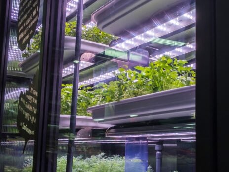 Infarm CEO on the “mega challenges” facing vertical farming