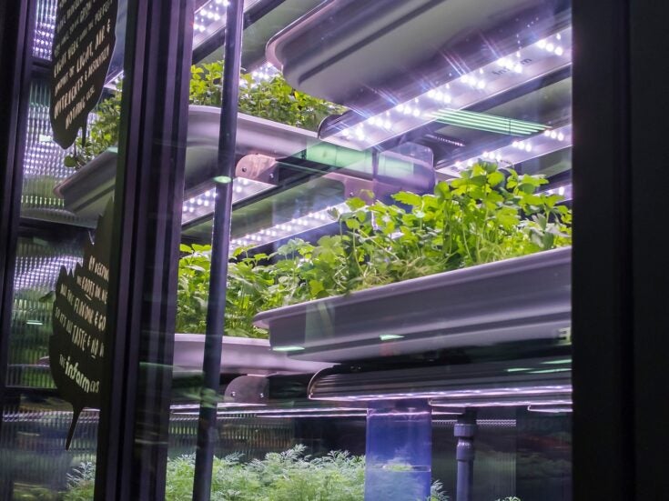 Infarm CEO on the “mega challenges” facing vertical farming