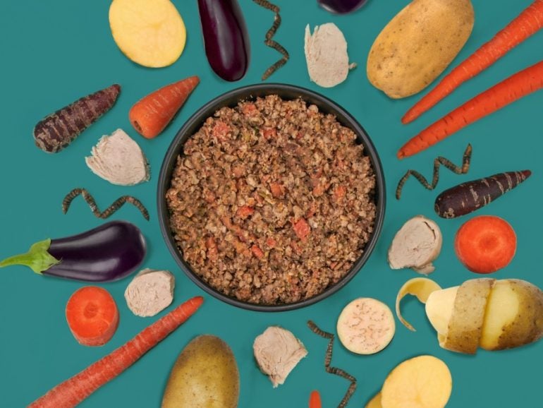 Tuggs insect pet food founder Harry Bremner