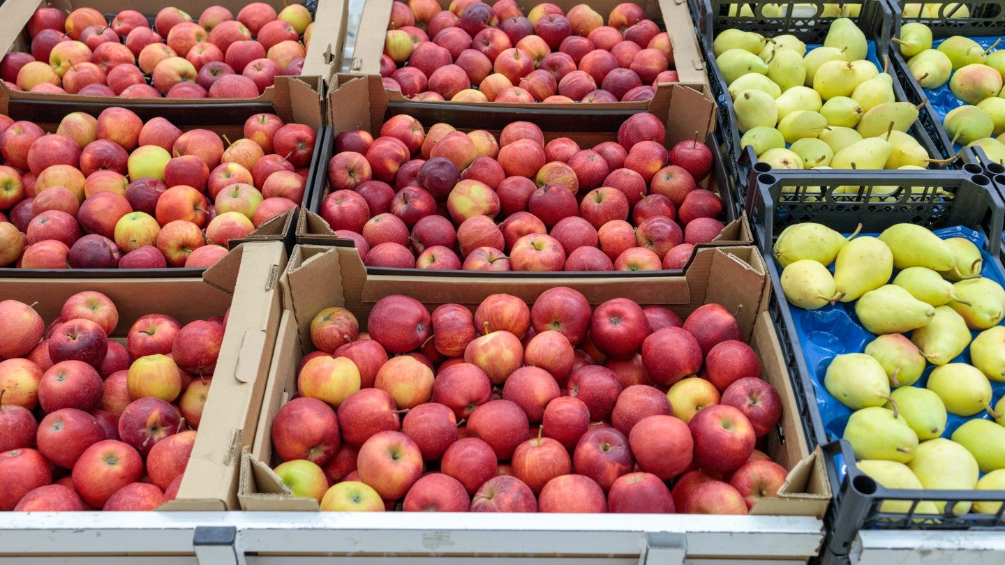 Roc Partners to acquire fresh produce company Freshmax Group